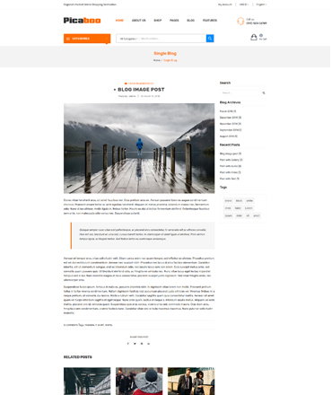 Picaboo-Responsive Ecommerce HTML5 Template