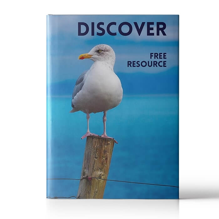 Pustok - Book Store HTML Template